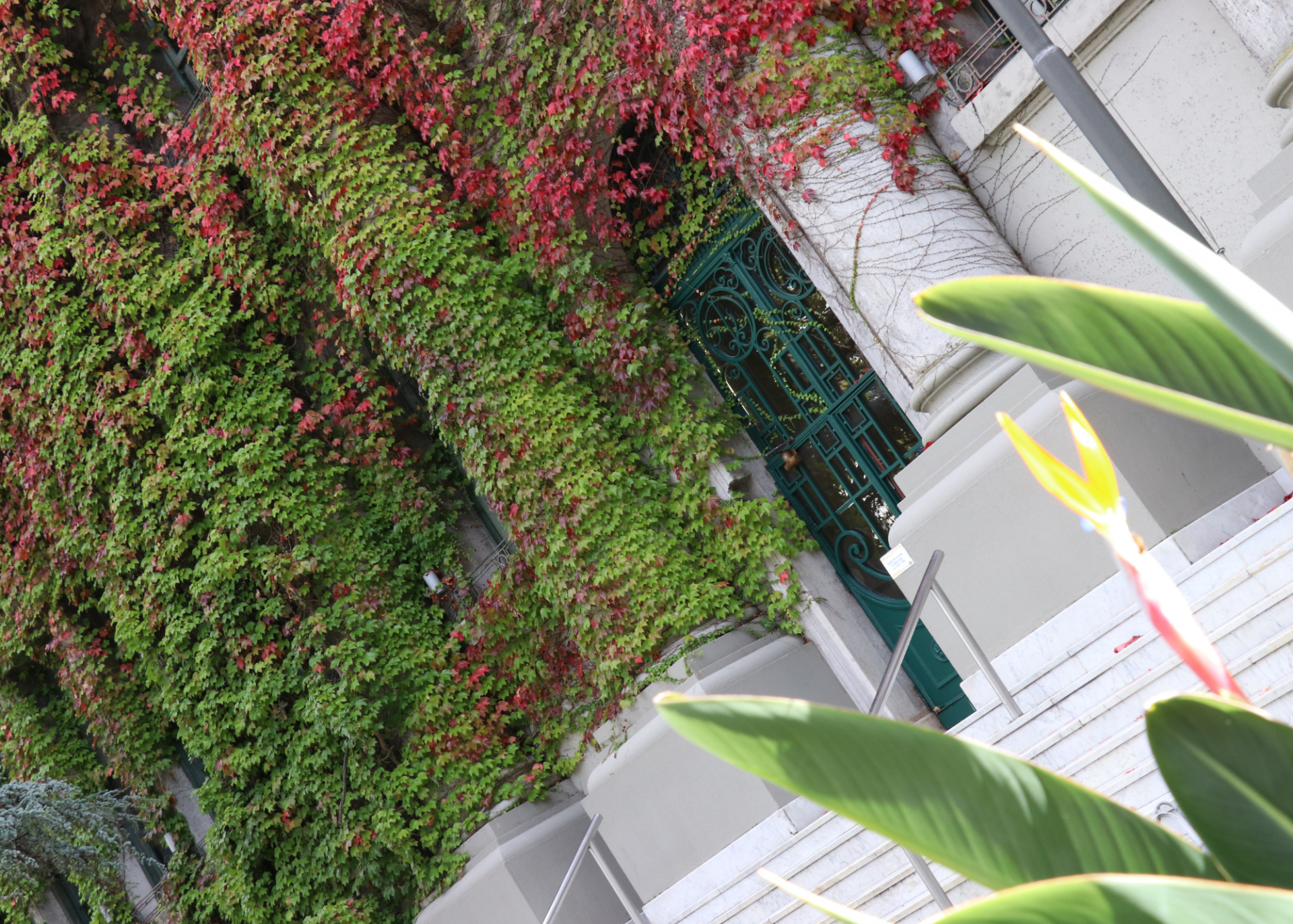 Instituto Crandon : Instituto Crandon, Bilingual Education