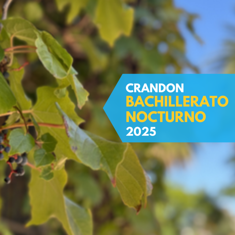 Instituto Crandon : Instituto Crandon, Bilingual Education
